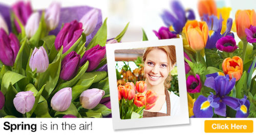 Asda, Sainsburys or Tesco Flowers Delivery? Next Day Flower Delivery